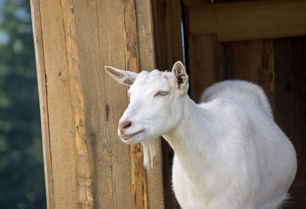 Erfahre, was Manchester an Sehenswürdigkeiten alles zu bieten hat | KAYAK